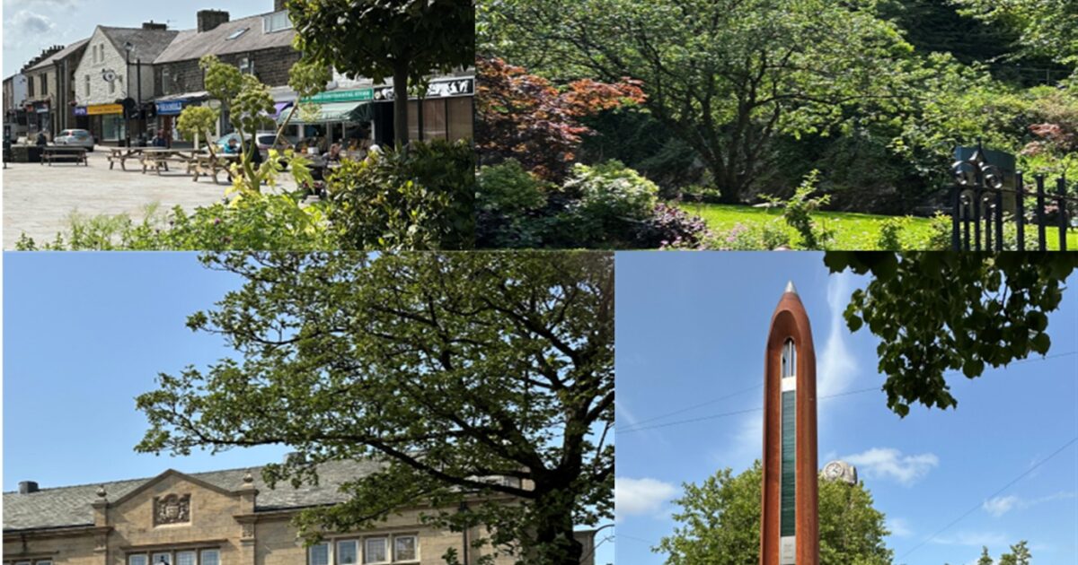 Pendle & Clitheroe Labour Party